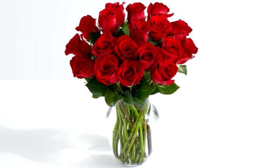 Gambar Bunga Mawar Merah | Harian Nusantara